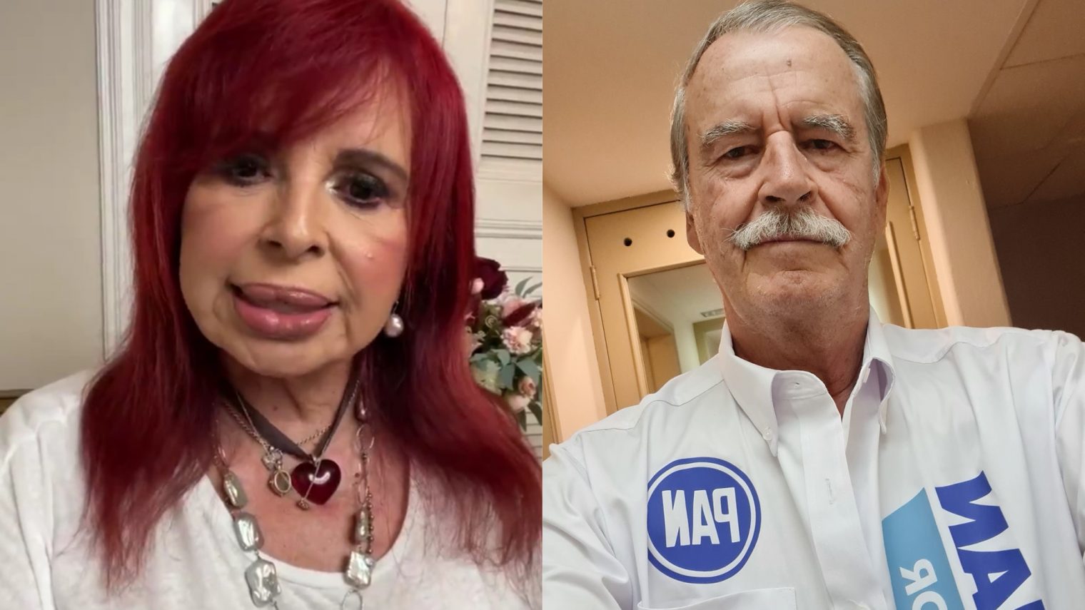 "¿Qué se siente revolcarse con las tepocatas?"; dice Layda Sansores a ...